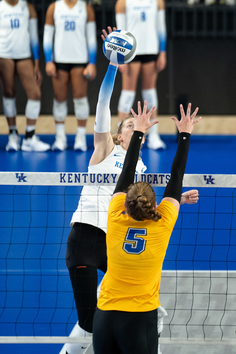 Kentucky-Morehead State Volleyball Photo Gallery – UK Athletics