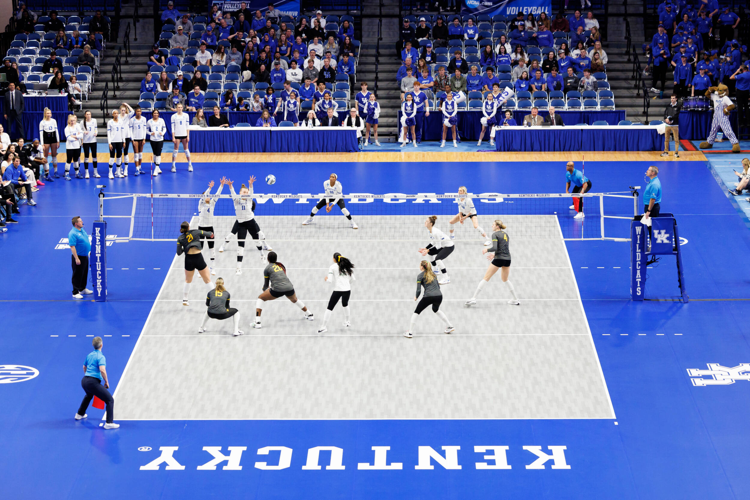 Kentucky-Baylor NCAA Volleyball Photo Gallery – UK Athletics