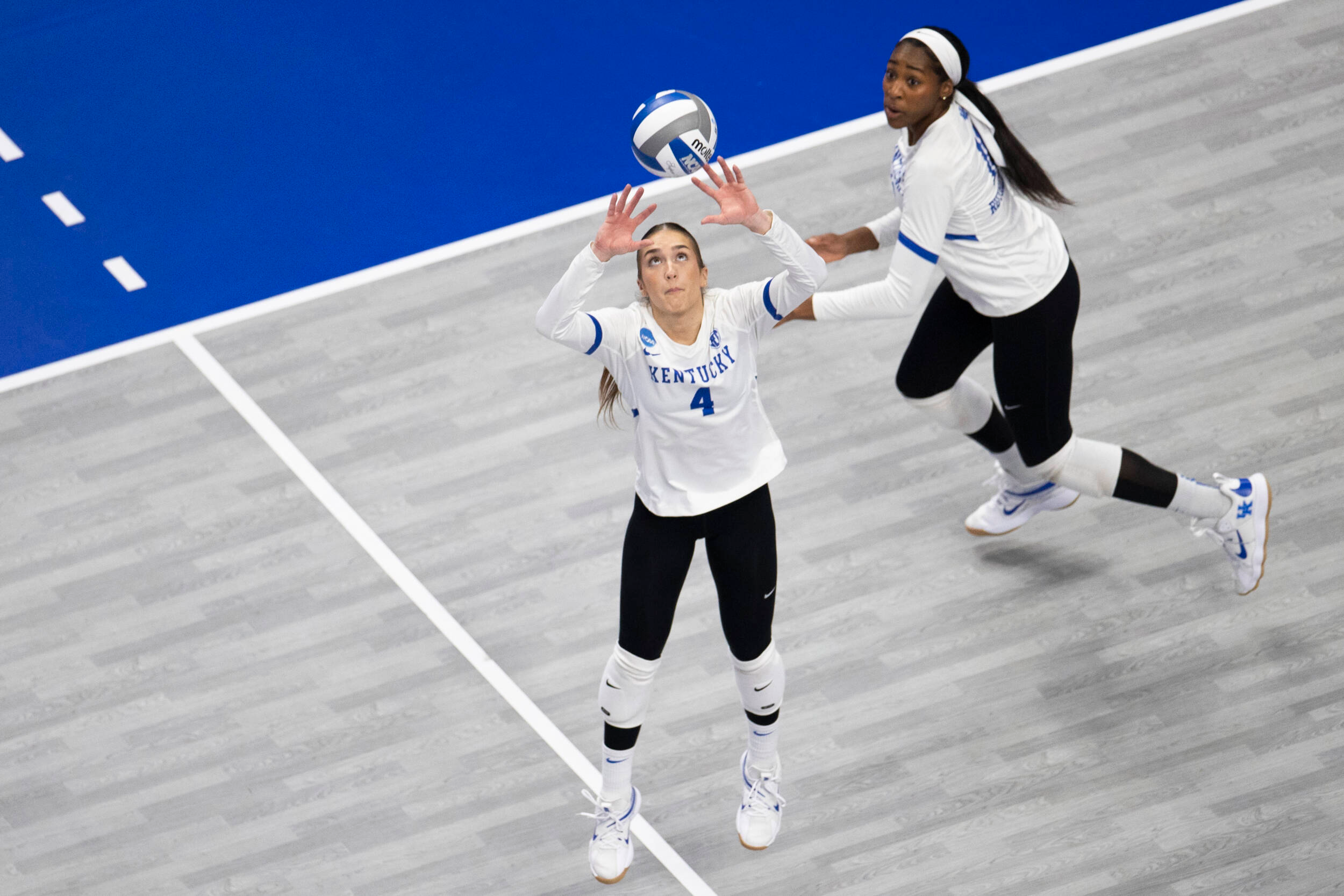 Kentucky-Baylor NCAA Volleyball Photo Gallery – UK Athletics