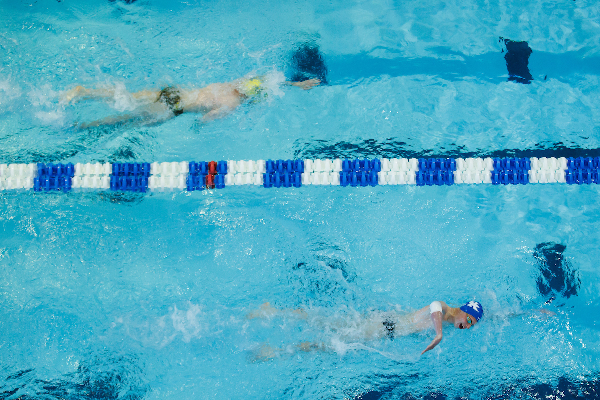Kentucky-West Virginia Swimming & Diving Photo Gallery – UK Athletics
