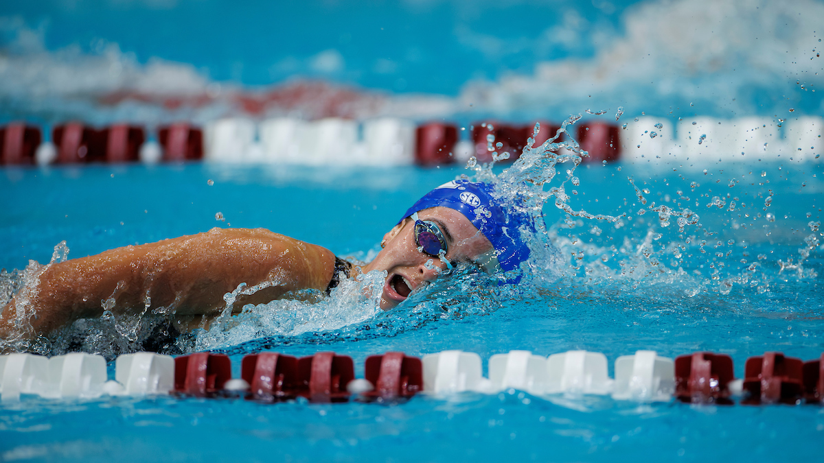 Kentucky-Indiana Swimming & Diving Photo Gallery – UK Athletics