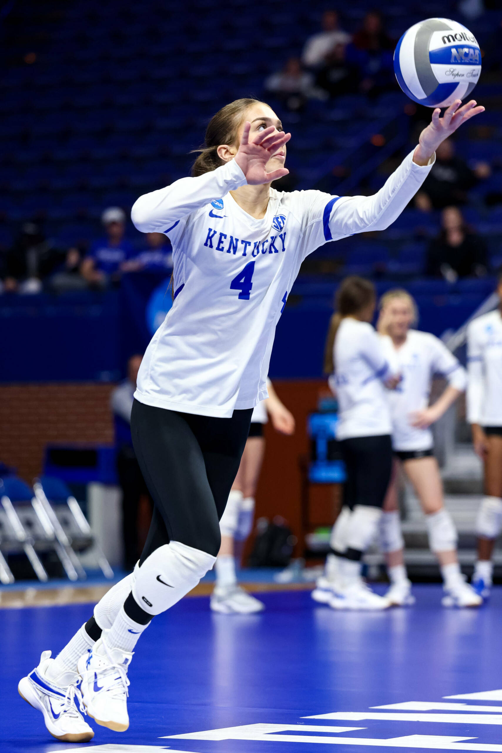 Kentucky-Baylor NCAA Volleyball Photo Gallery – UK Athletics