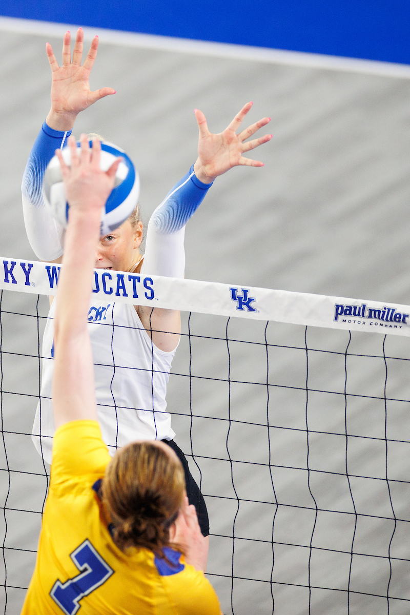 Kentucky-Morehead State Volleyball Photo Gallery – UK Athletics