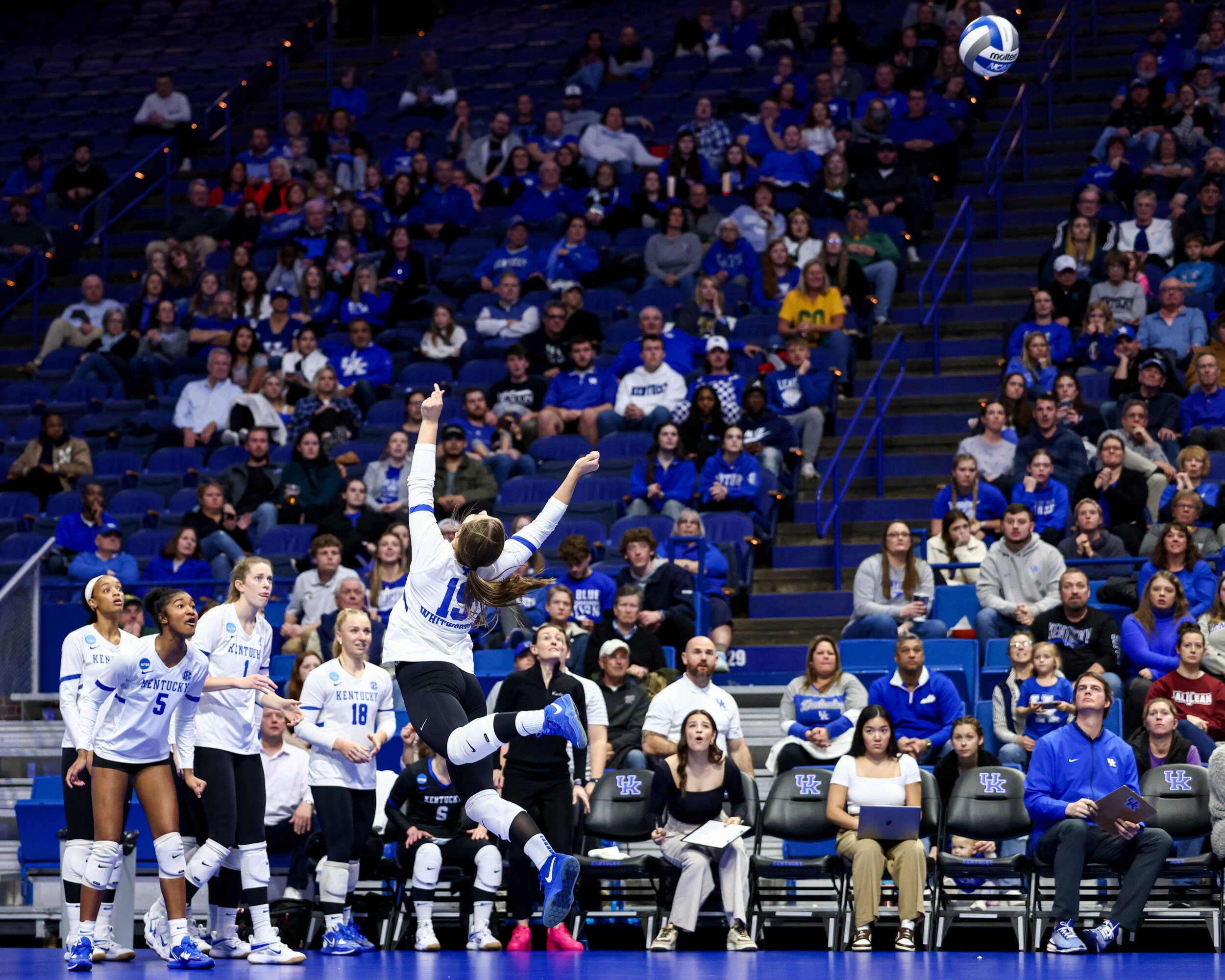Kentucky-Baylor NCAA Volleyball Photo Gallery – UK Athletics