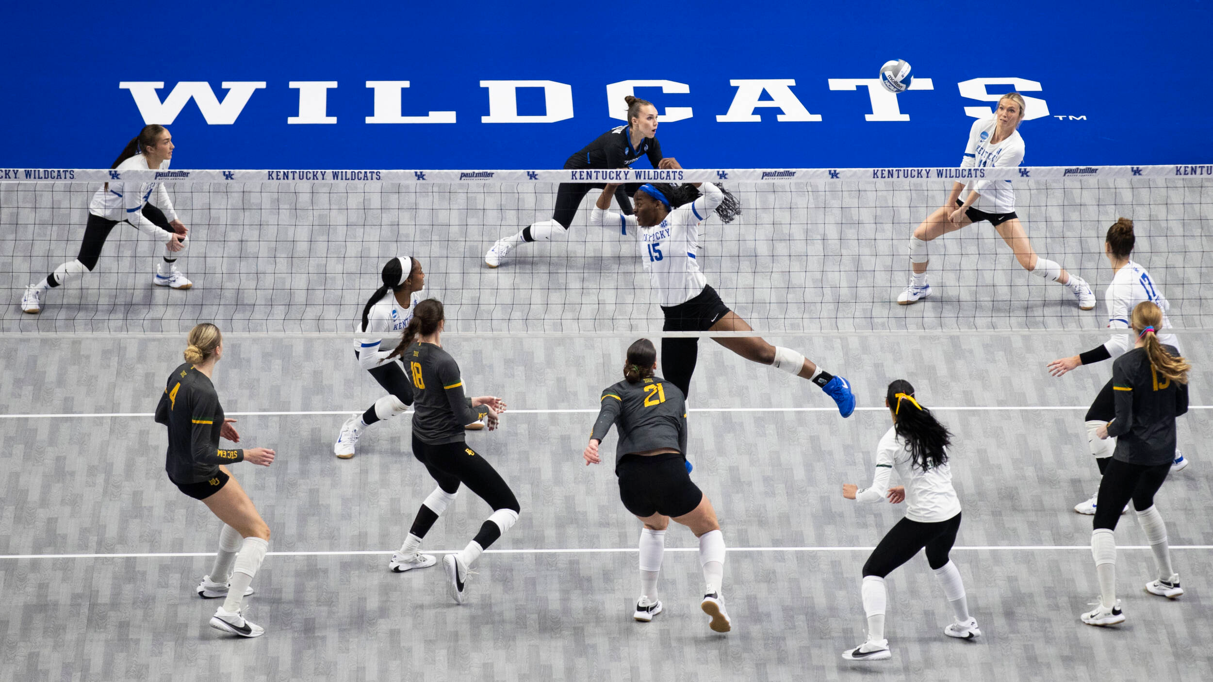 Kentucky-Baylor NCAA Volleyball Photo Gallery – UK Athletics