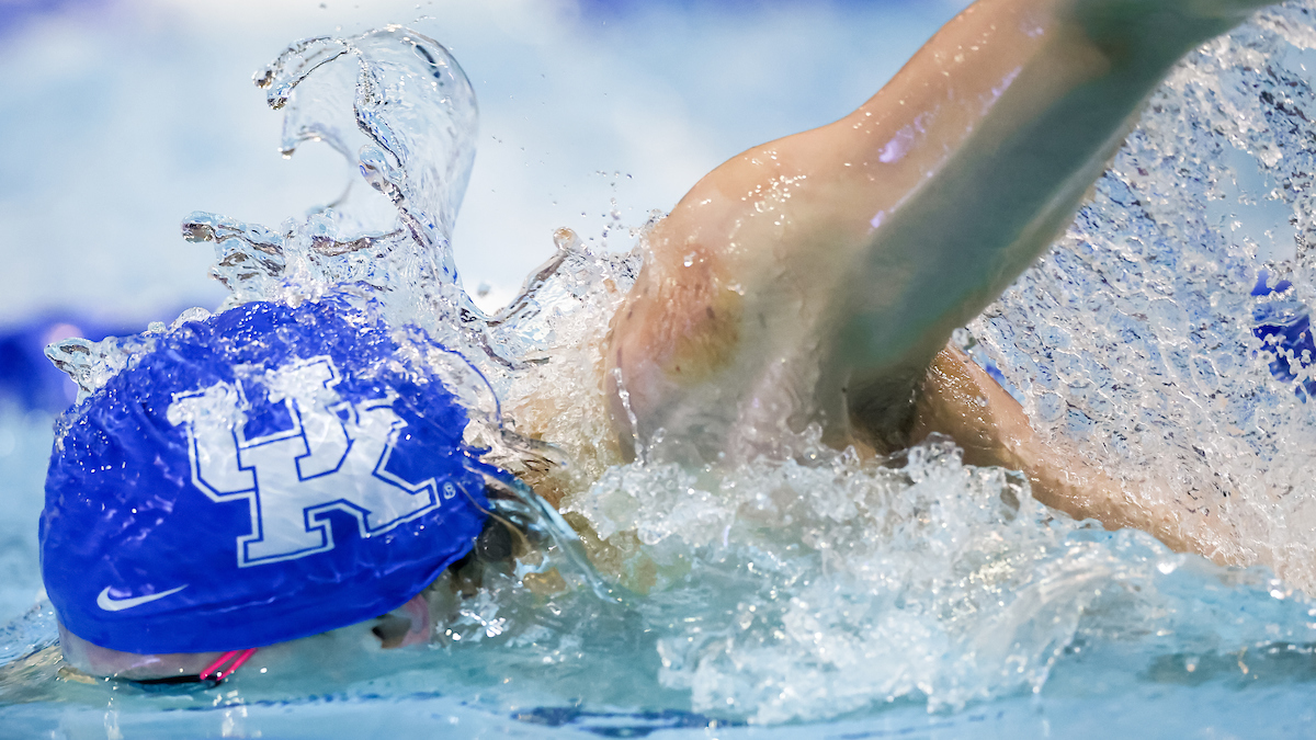 Kentucky-Cincinnati Swimming & Diving Photo Gallery – UK Athletics