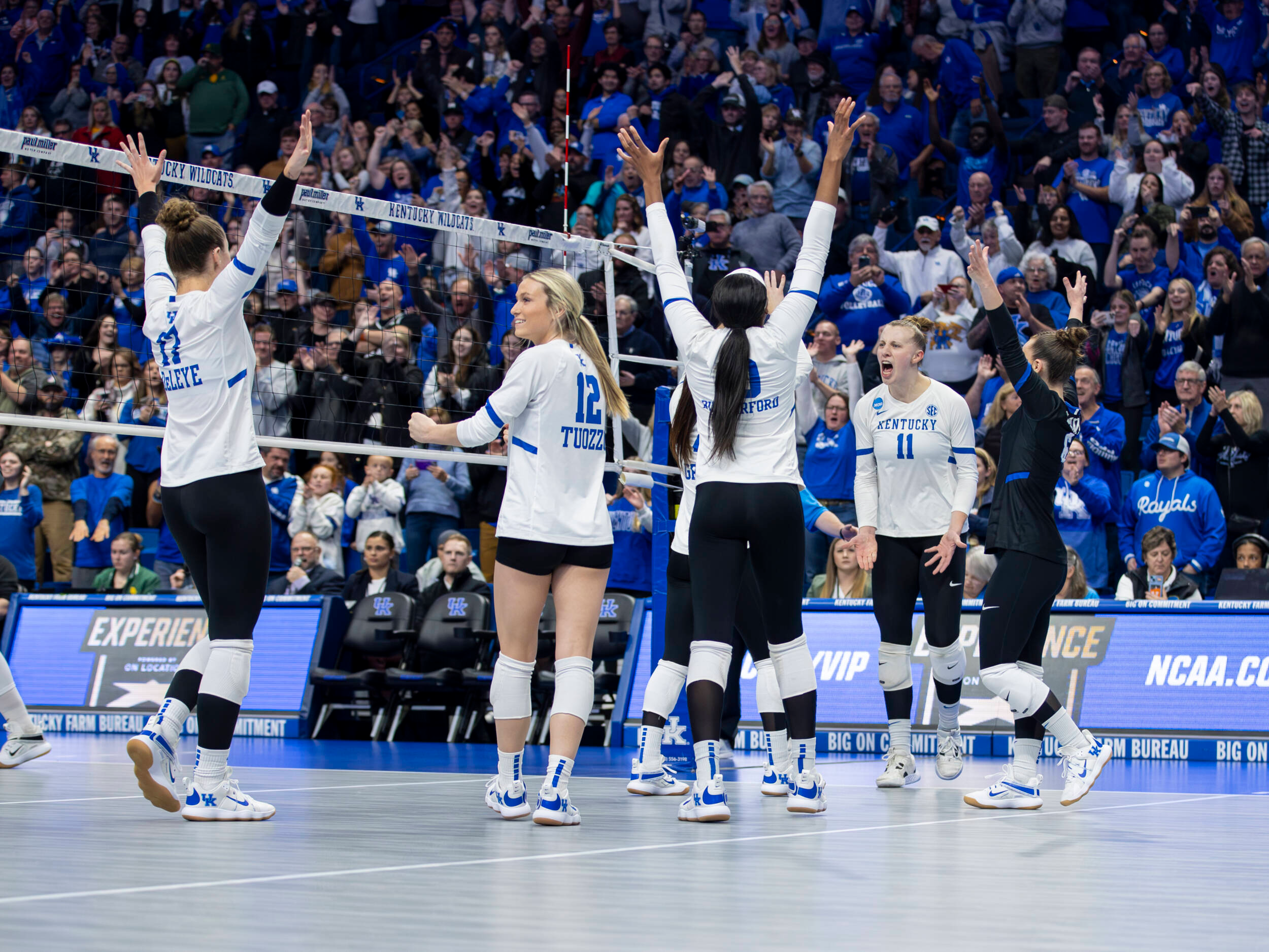 Kentucky-Baylor NCAA Volleyball Photo Gallery – UK Athletics
