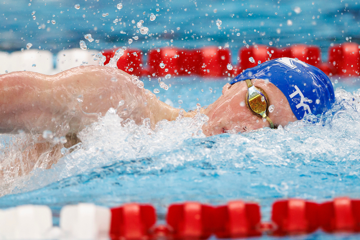 Kentucky-Ohio State Swimming & Diving Photo Gallery – UK Athletics