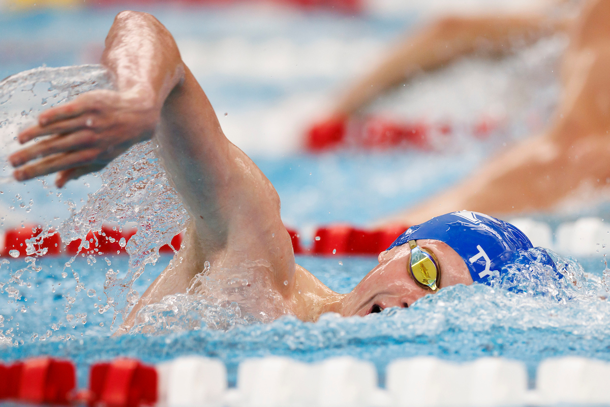 Kentucky-Ohio State Swimming & Diving Photo Gallery – UK Athletics