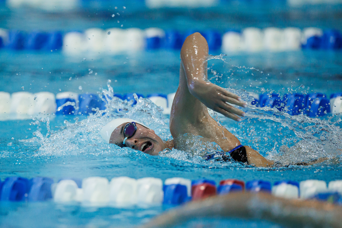 Blue-White Swimming & Diving Photo Gallery – UK Athletics