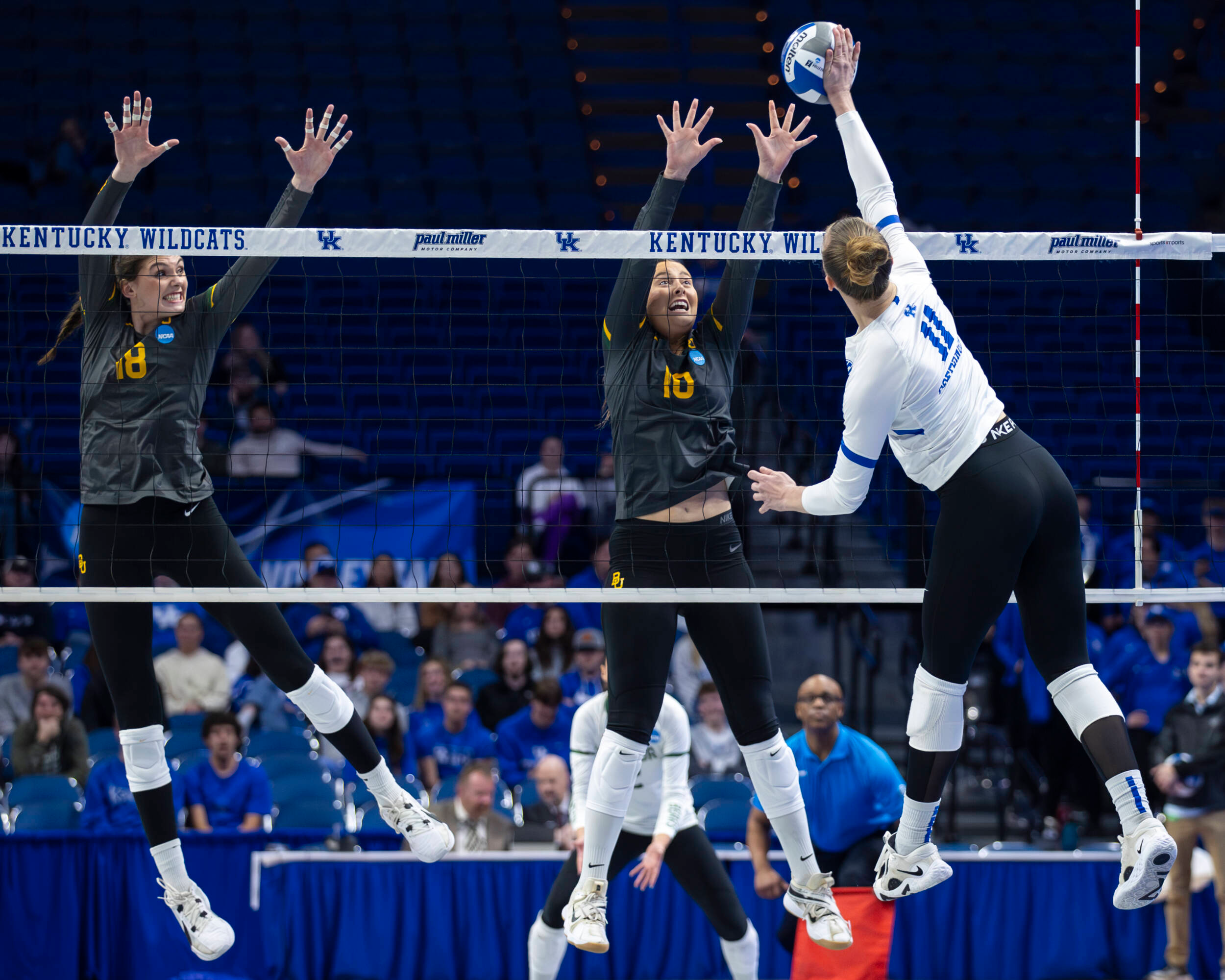 Kentucky-Baylor NCAA Volleyball Photo Gallery – UK Athletics