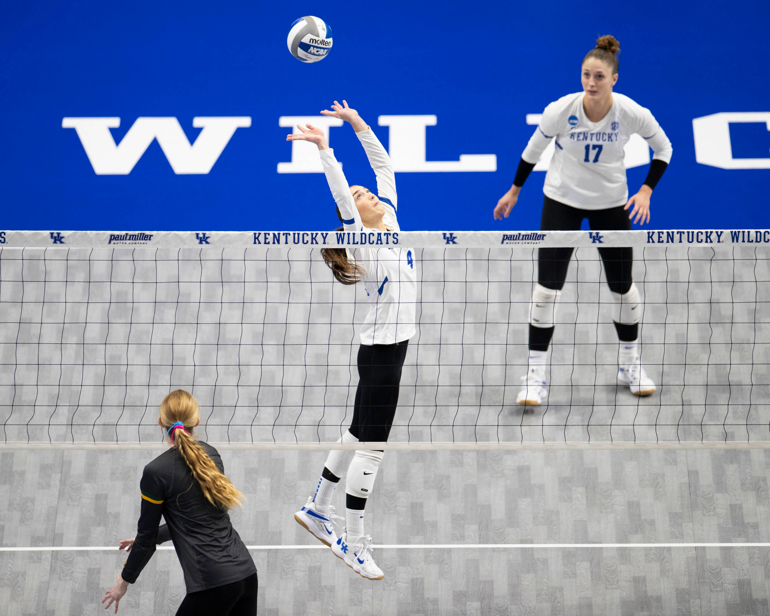 Kentucky-Baylor NCAA Volleyball Photo Gallery – UK Athletics