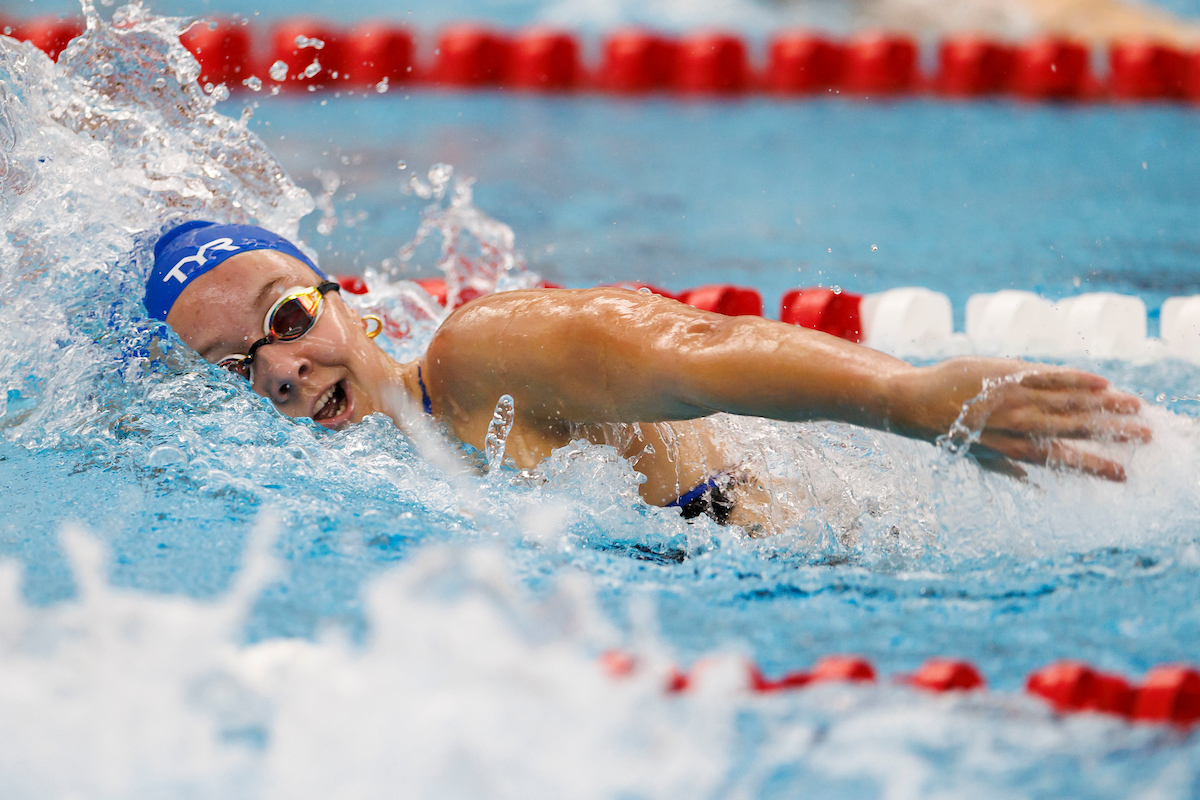 Kentucky-Ohio State Swimming & Diving Photo Gallery – UK Athletics