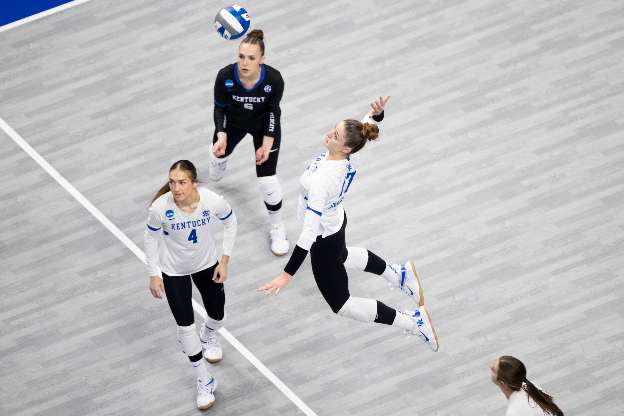 Kentucky-Baylor NCAA Volleyball Photo Gallery – UK Athletics