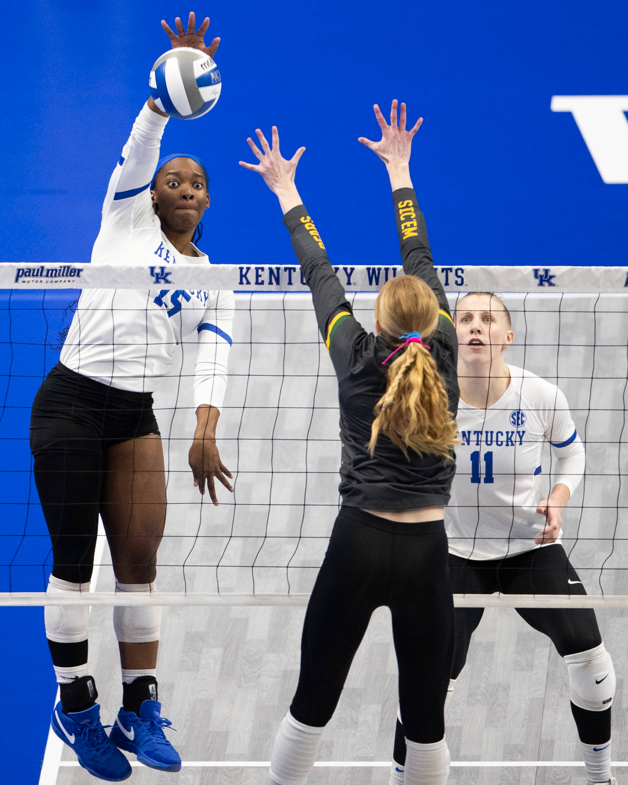 Kentucky-Baylor NCAA Volleyball Photo Gallery – UK Athletics