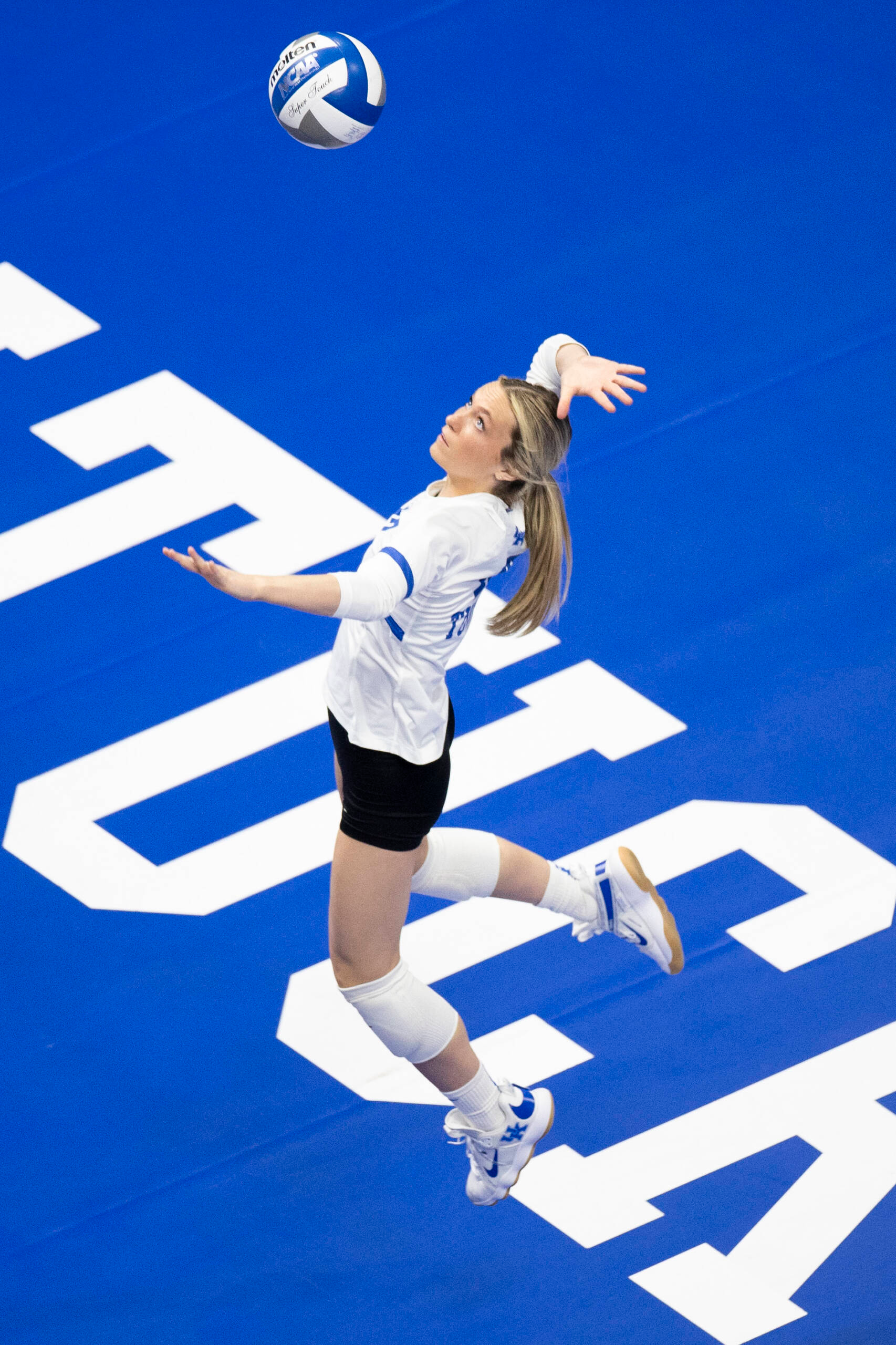 Kentucky-Baylor NCAA Volleyball Photo Gallery – UK Athletics