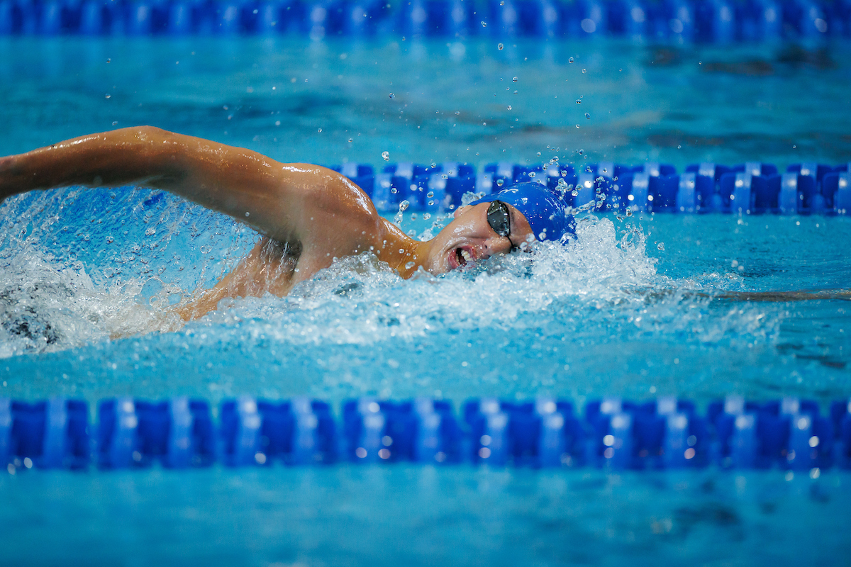 Kentucky-West Virginia Swimming & Diving Photo Gallery – UK Athletics