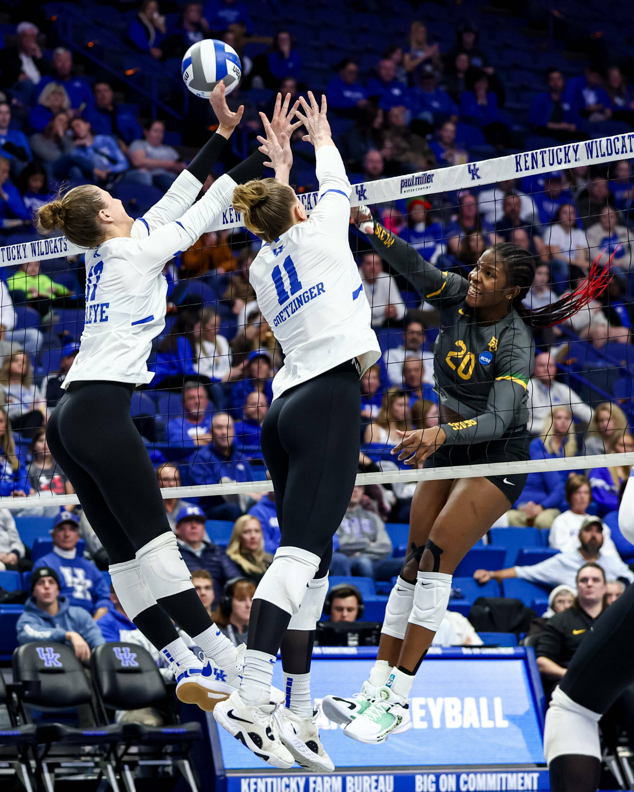 Kentucky-Baylor NCAA Volleyball Photo Gallery – UK Athletics